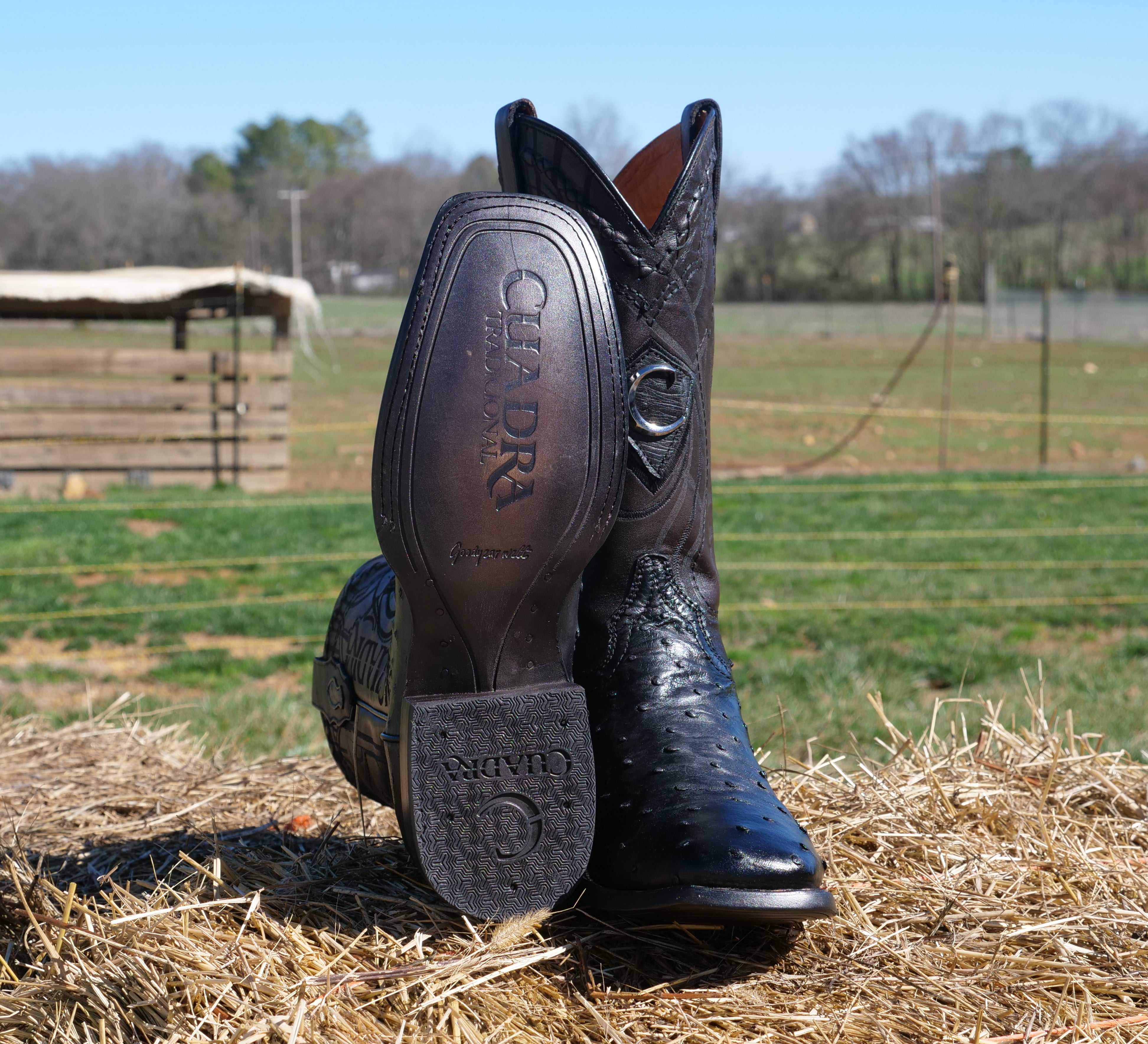 Cuadra Boots Collection – ELP Western