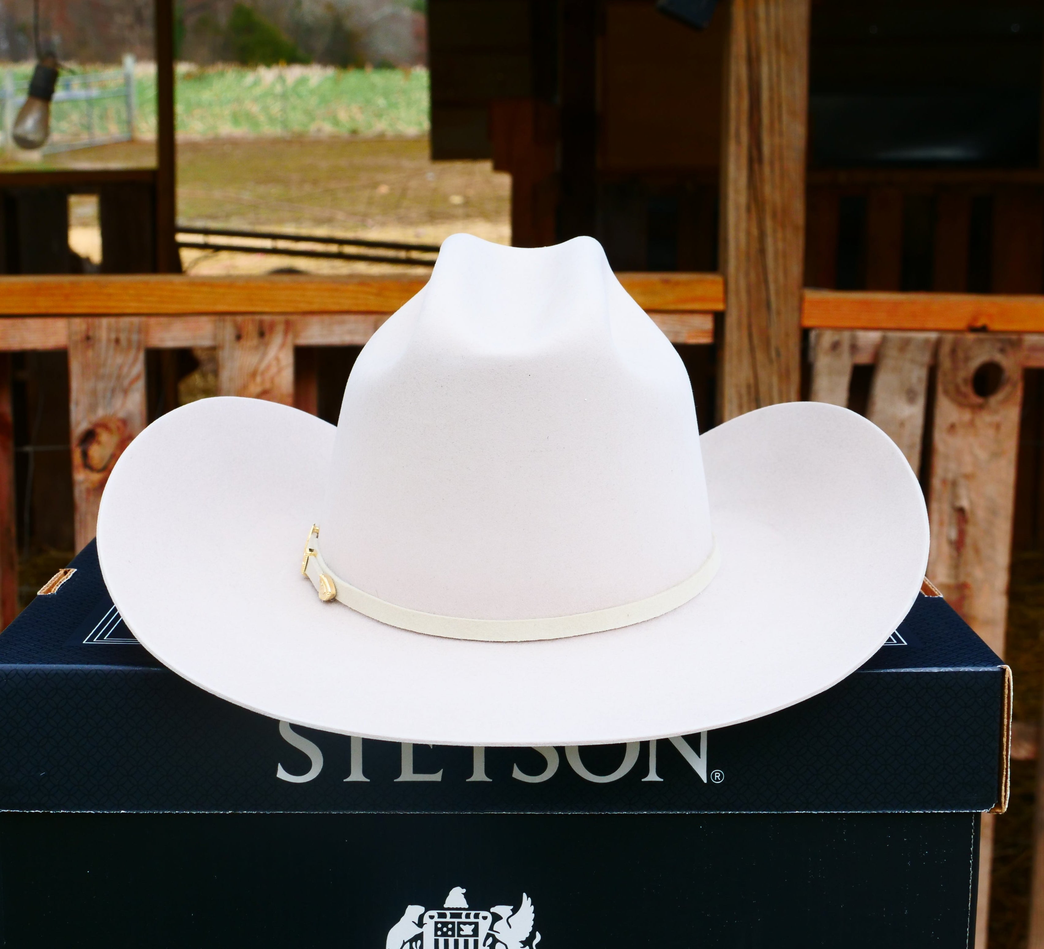 Texanas Stetson – ELP Western